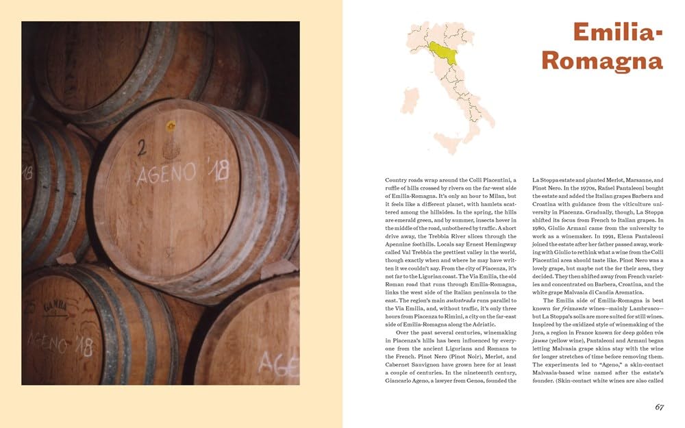 Italian Wine: The History, Regions, and Grapes of an Iconic Wine Count ...