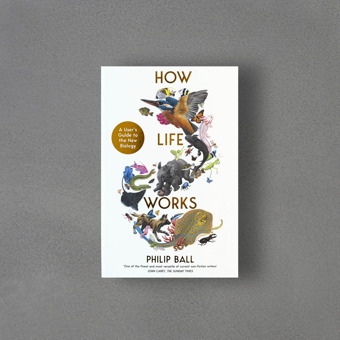 How Life Works: A User´s Guide to the New Biology - Philip Ball