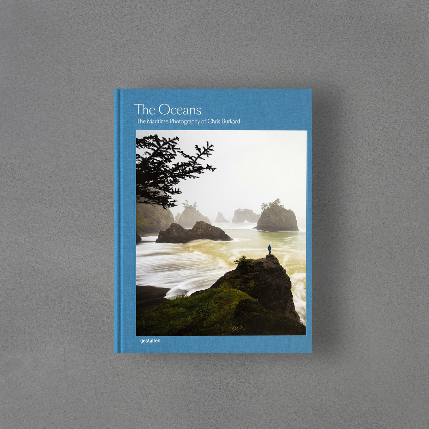 The Oceans – Book Therapy