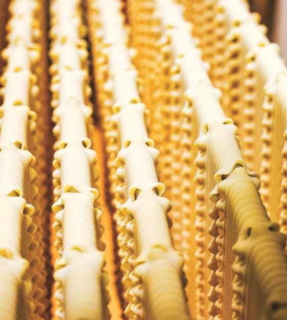 Mastering Pasta: The Art and Practice of Handmade Pasta, Gnocchi and R ...