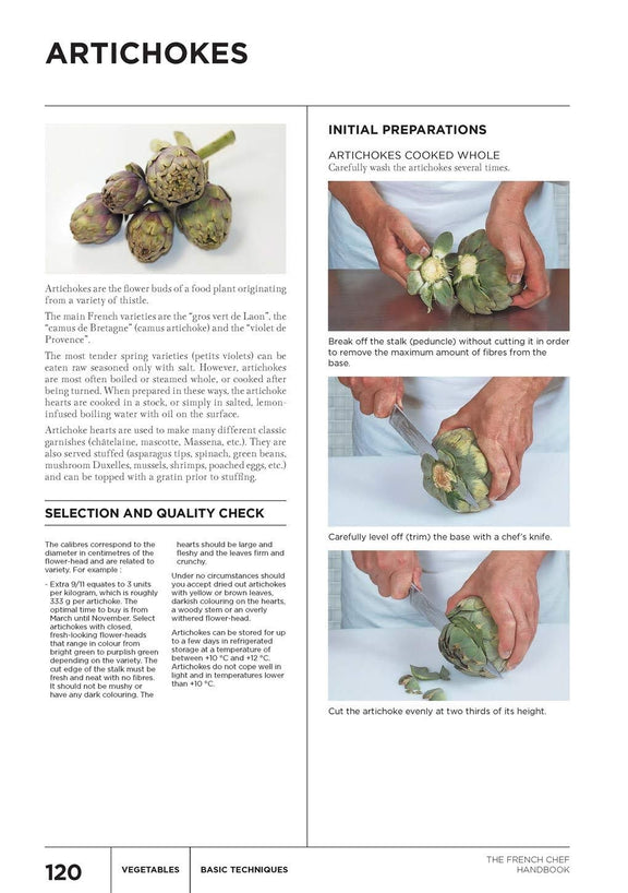 The French Chef Handbook - Michel Maincent-Morel