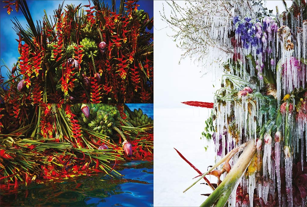 Makoto Azuma: Flower Art – Book Therapy