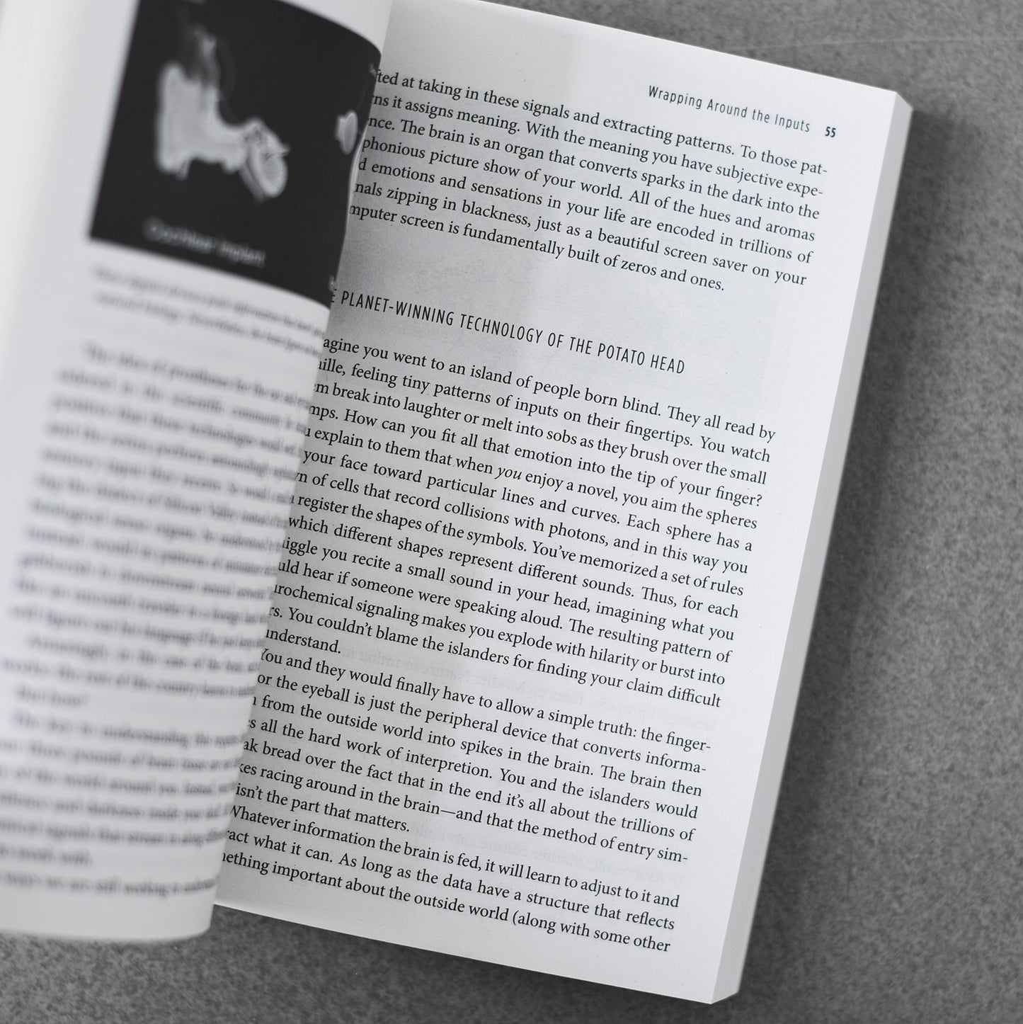 Livewired: The Inside Story of the Ever-Changing Brain – Book Therapy